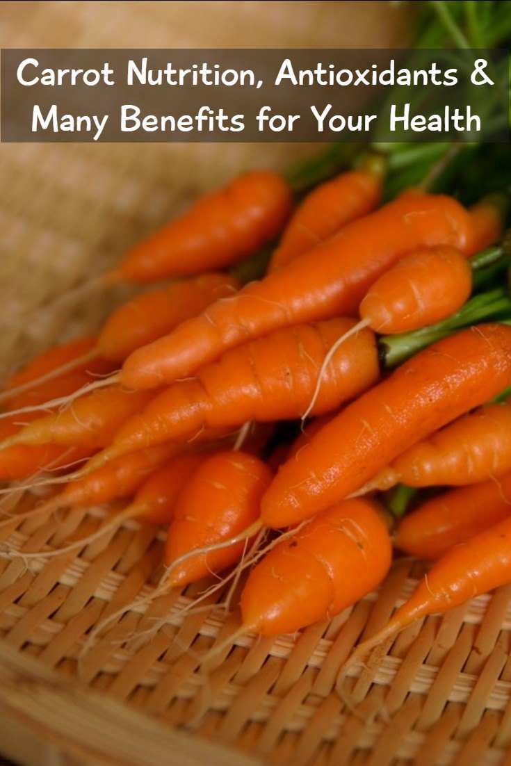 Carrot Nutrition, Antioxidants And Many Benefits For Your Health